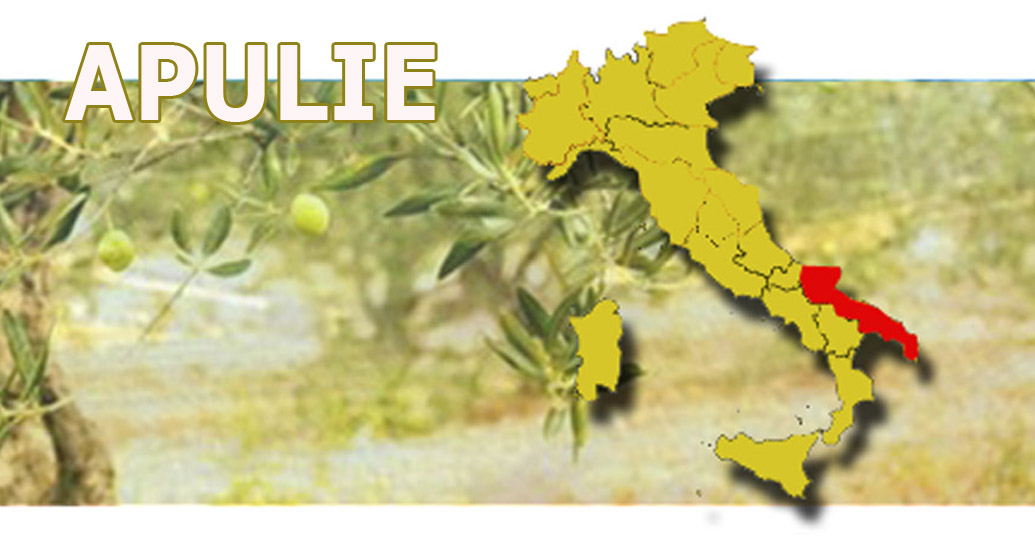 italský vinařský region Apulie (Puglia)