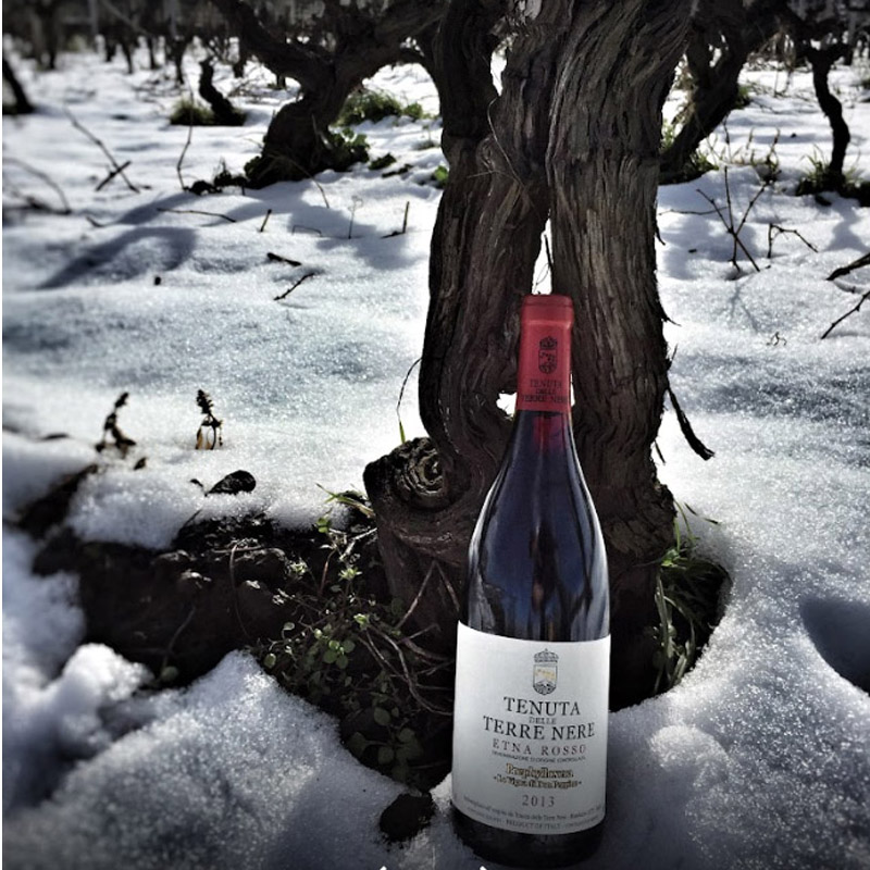 Terre Nere winery Sicilia